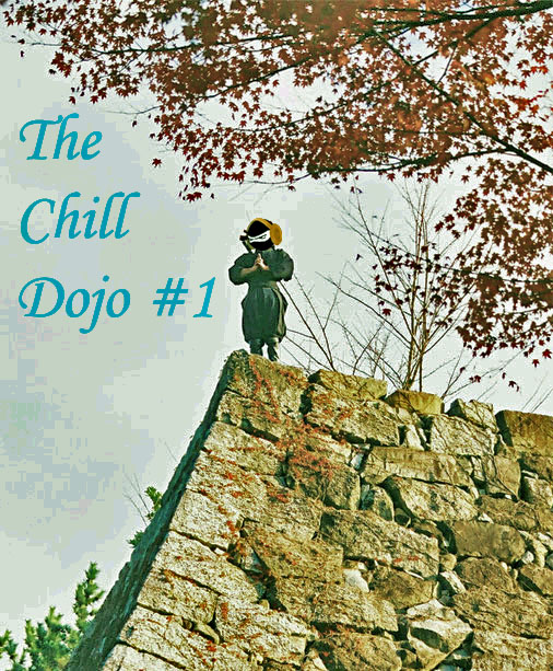 [MP3 Playlist] The Chill Dojo #1 | The Music Ninja